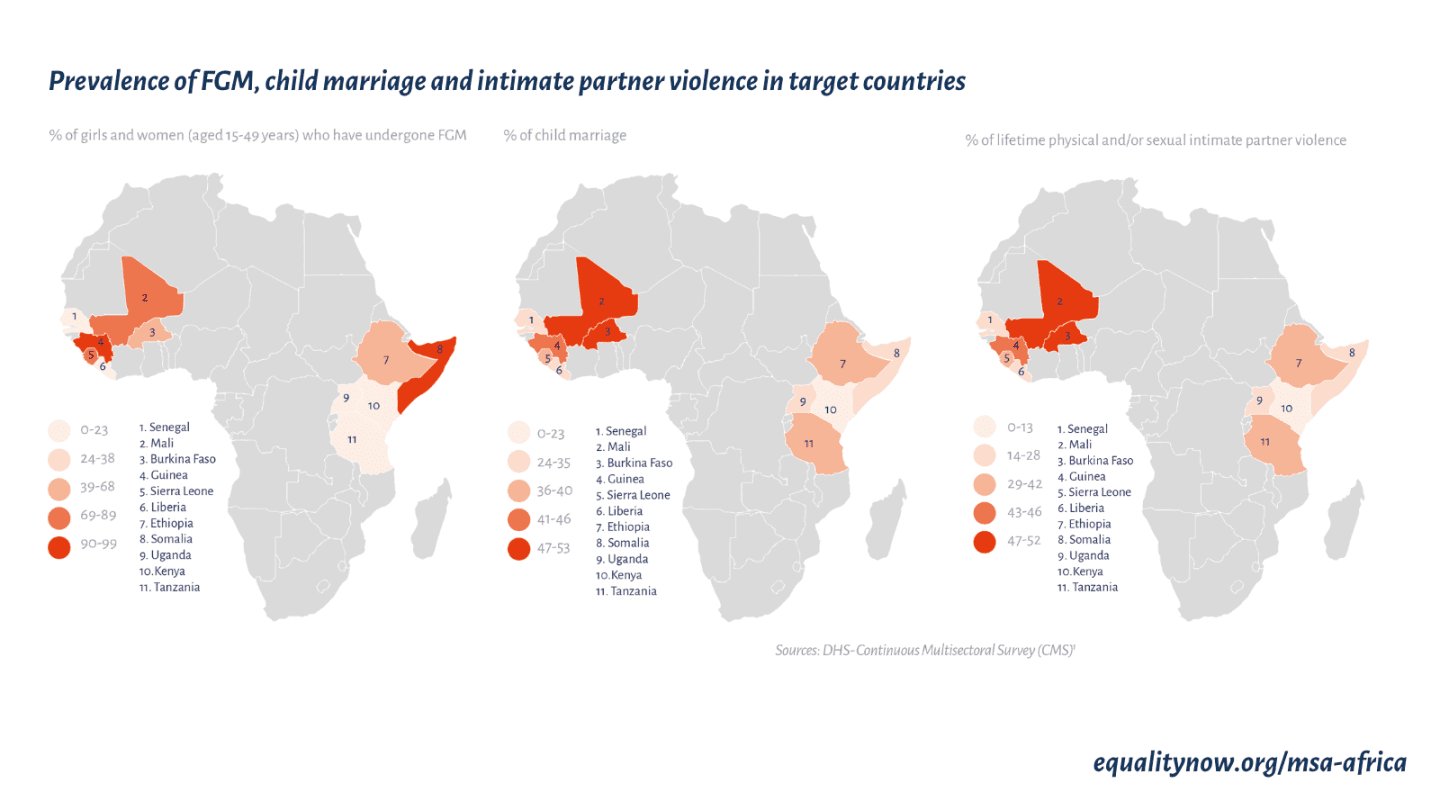 Use of the multi-sectoral approach to ending gender-based violence and ...