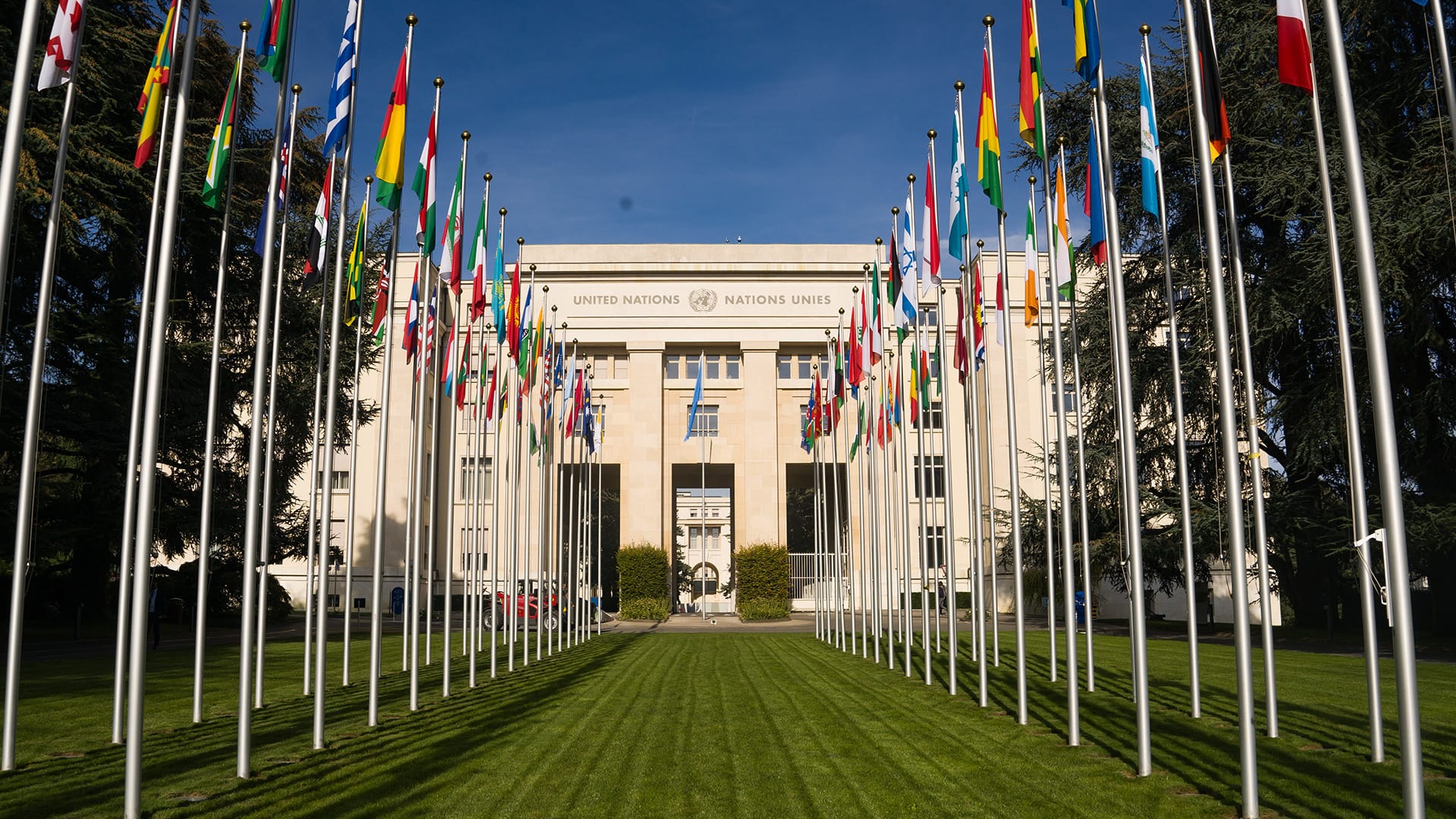 Global backlash against women's and girls' rights - Words and Deeds ...